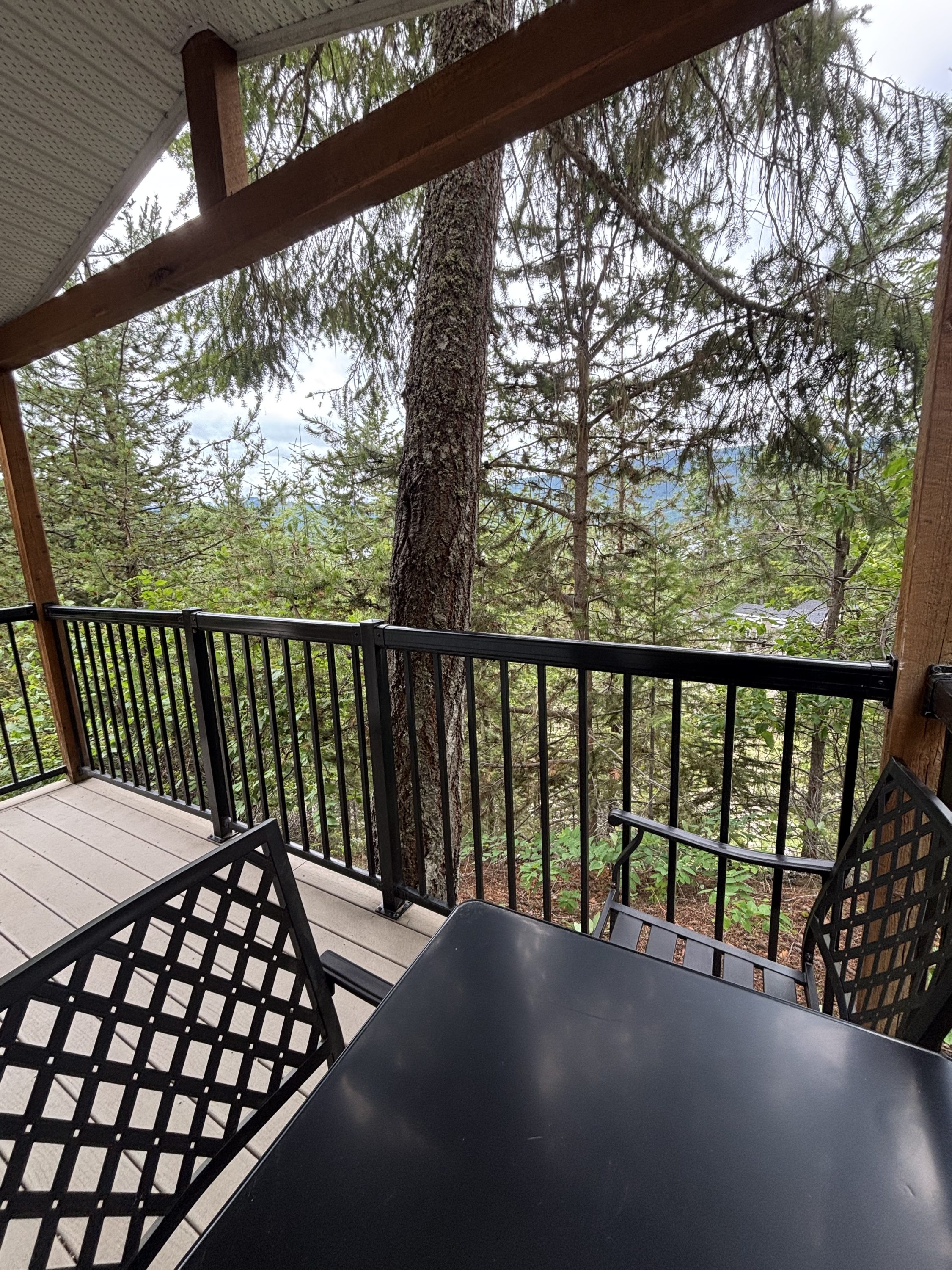 Silvercup Cabin - Halcyon Hot Springs